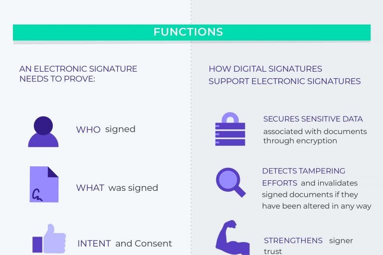 The Difference Between E-Signatures and Digital Signatures [Infographic ...